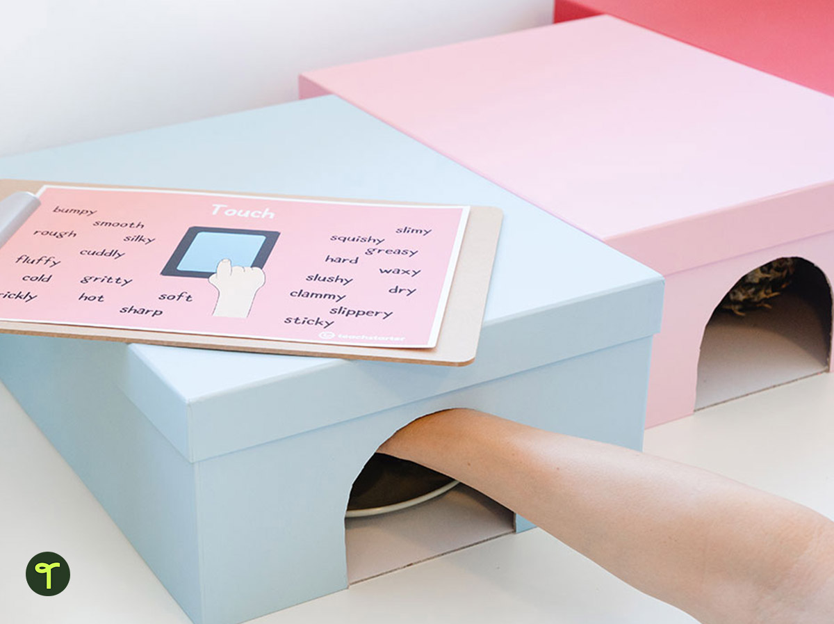 9 Amazing Lesson Hooks [with Printable Resources] | Teach Starter