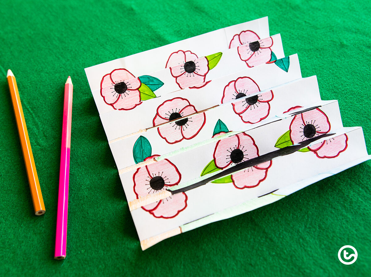 Poppies and Soldier Agamograph | Teach Starter