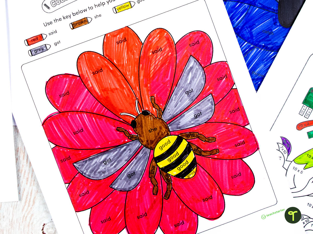 Color by Sight Words - 5 Words - Bee | Teach Starter