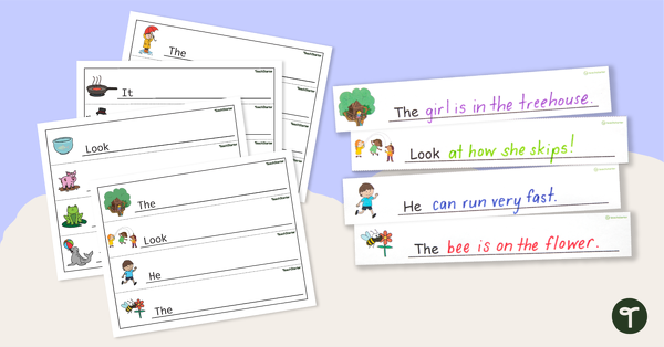 Apostrophe Review Worksheet | Teach Starter